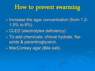 Proteus mahadi ppt | PDF