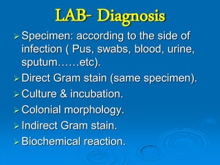 Proteus mahadi ppt | PDF