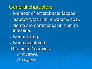 Proteus mahadi ppt | PDF