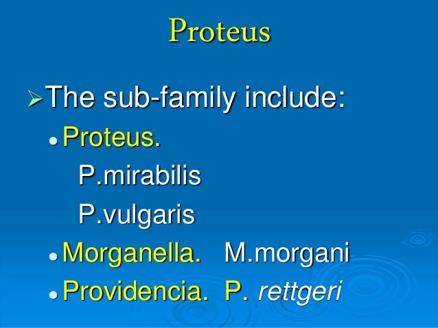 Proteus Spp Lecture