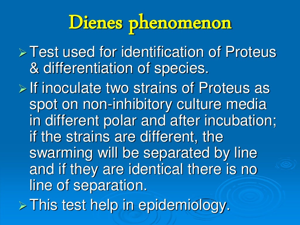 Proteus Spp Lecture