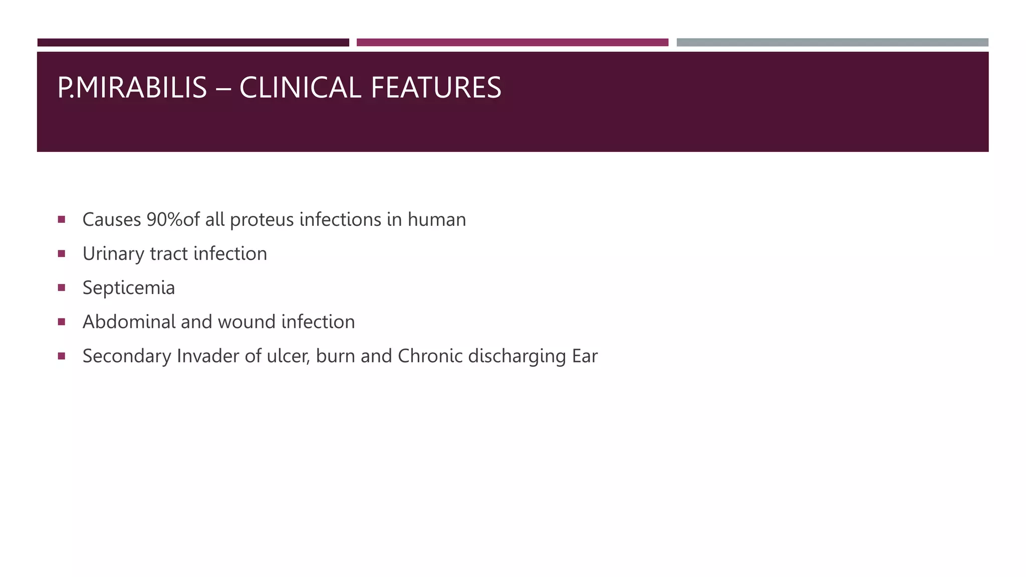 Proteus Mirabilis.pptx