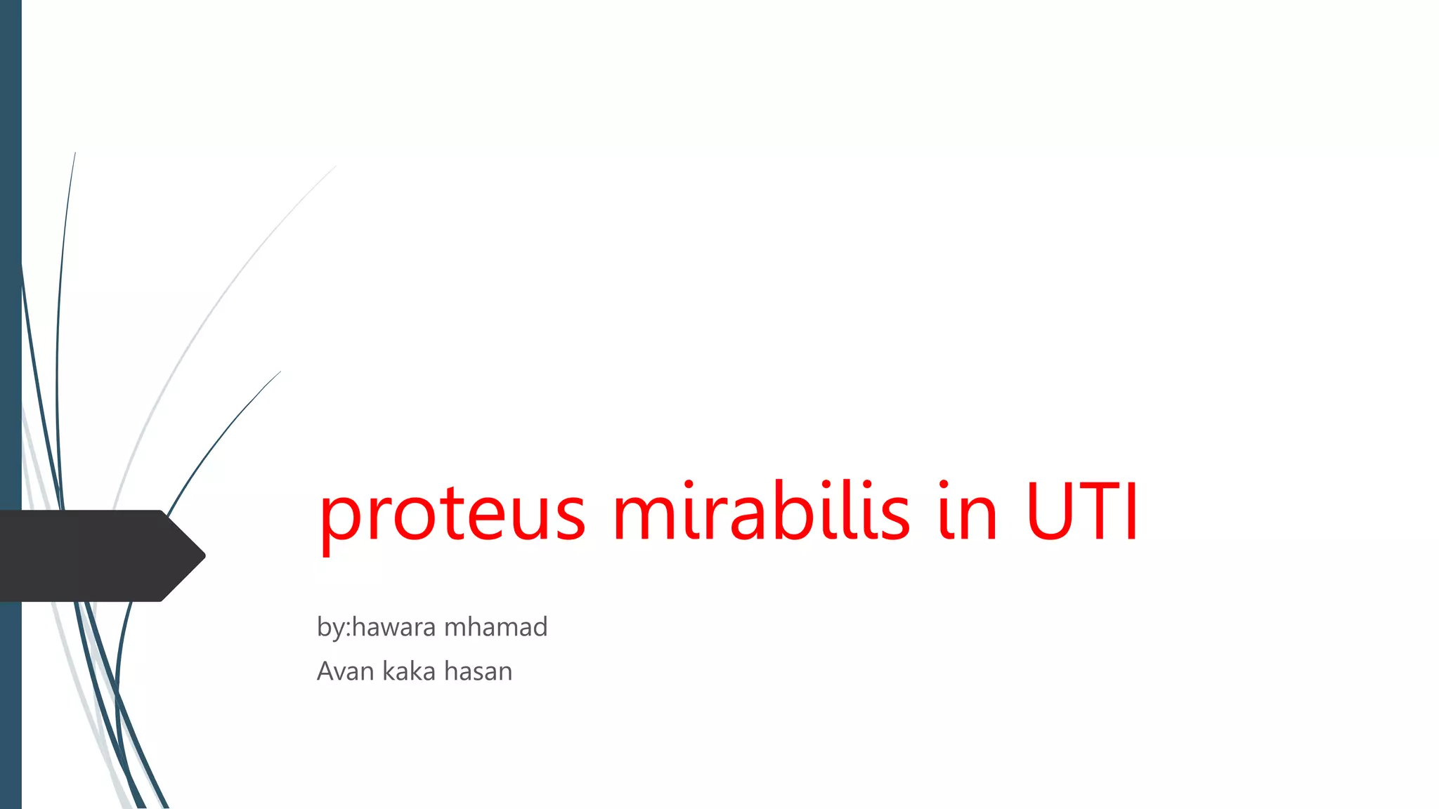proteus mirabilis | PPTX