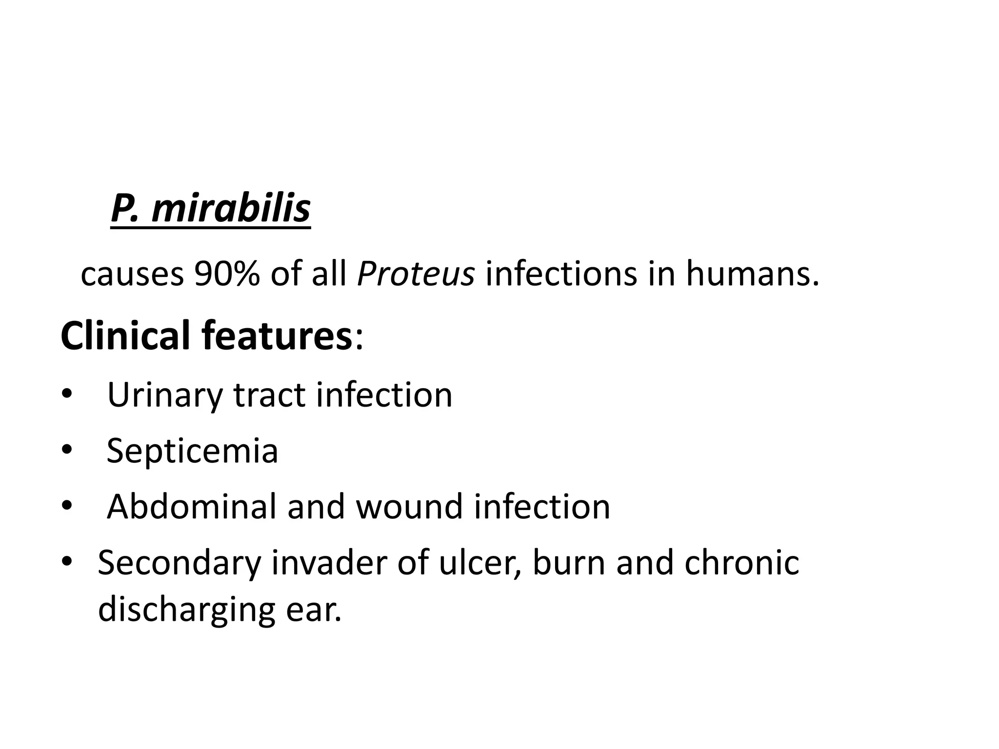Proteus Spp Lecture Pptx