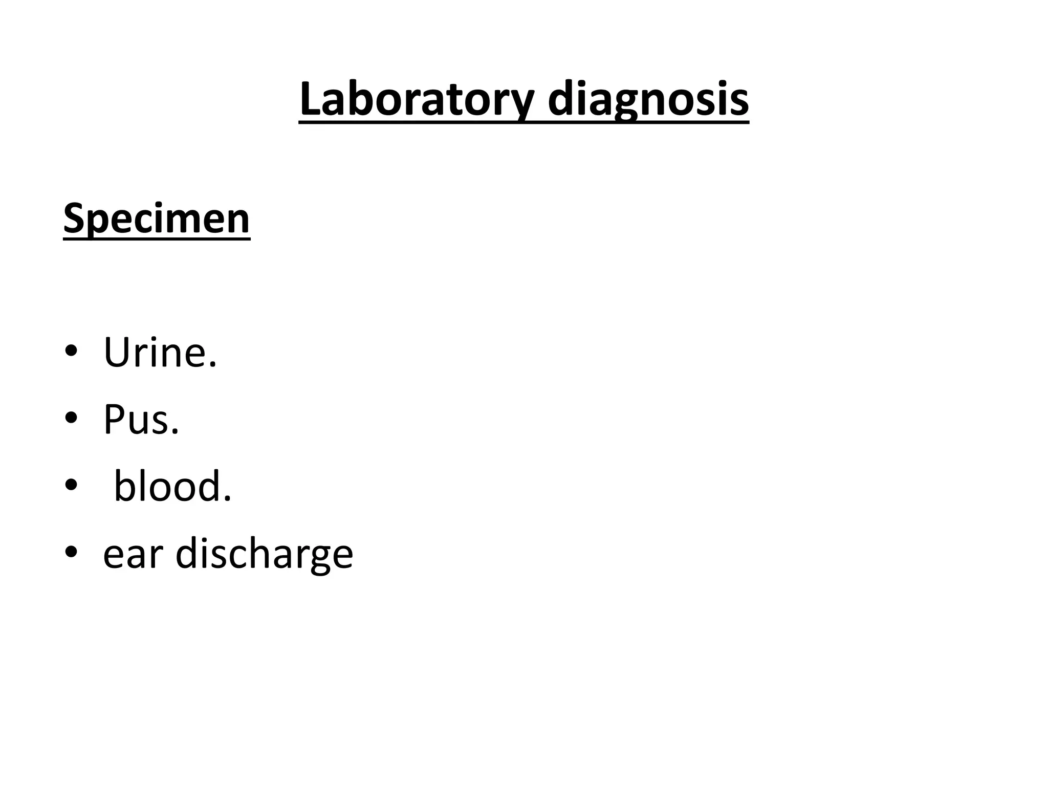 Proteus spp lecture | PPTX