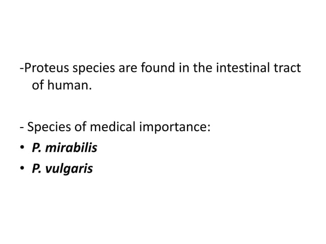 Proteus spp lecture | PPTX