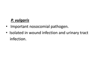 Proteus spp lecture | PPTX