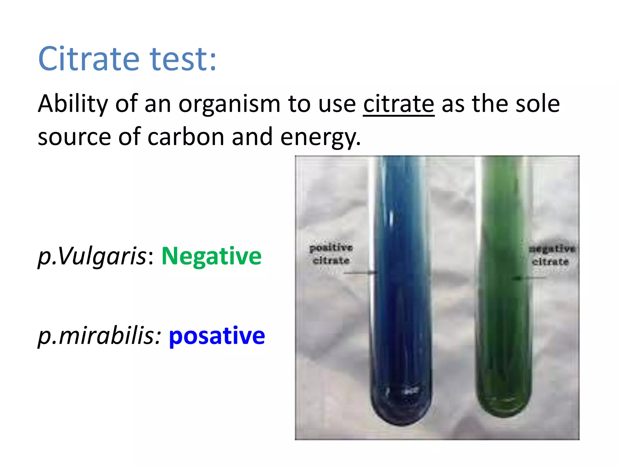 Proteus spp (2) | PPTX
