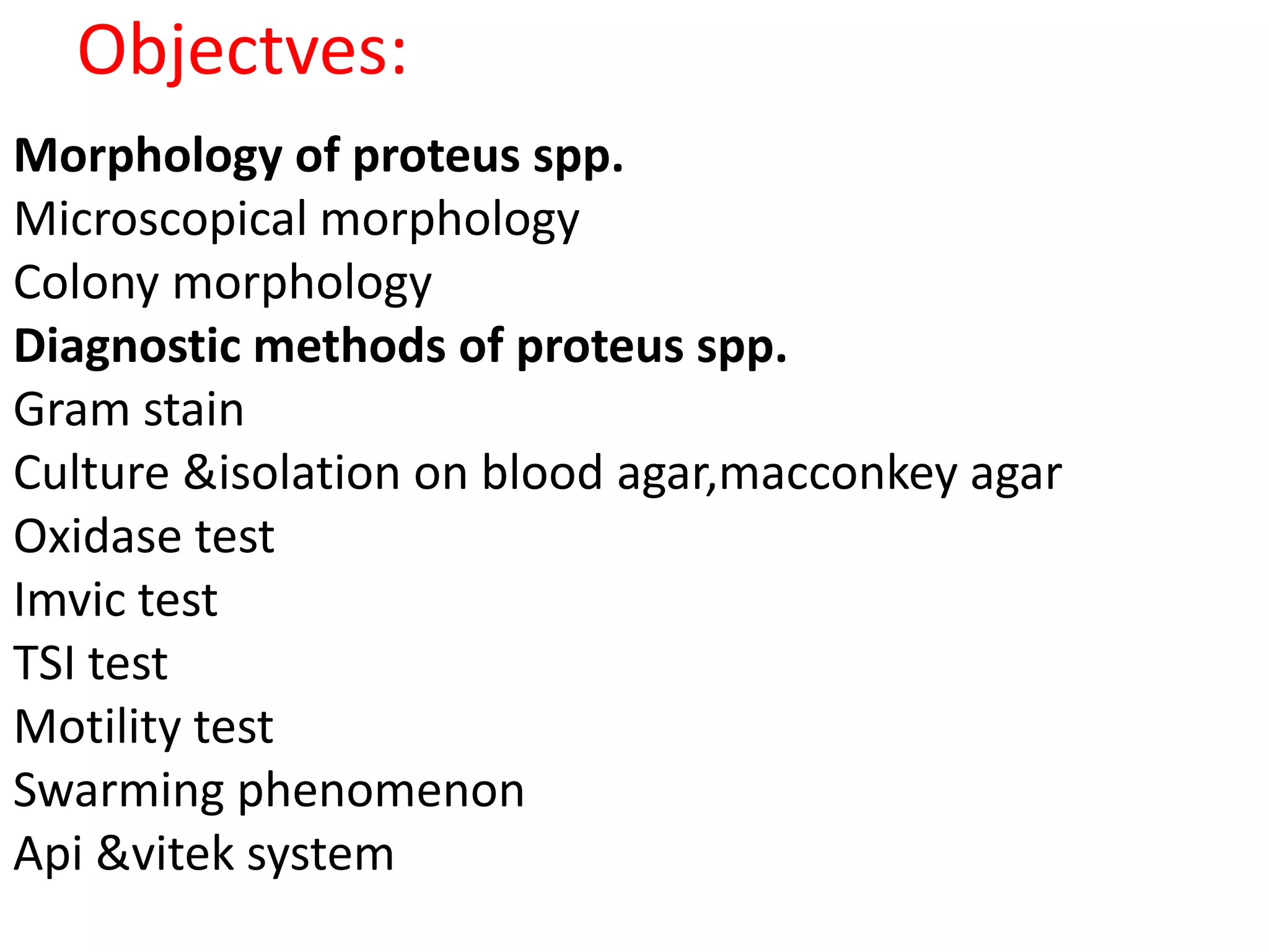 Proteus spp (2) | PPTX