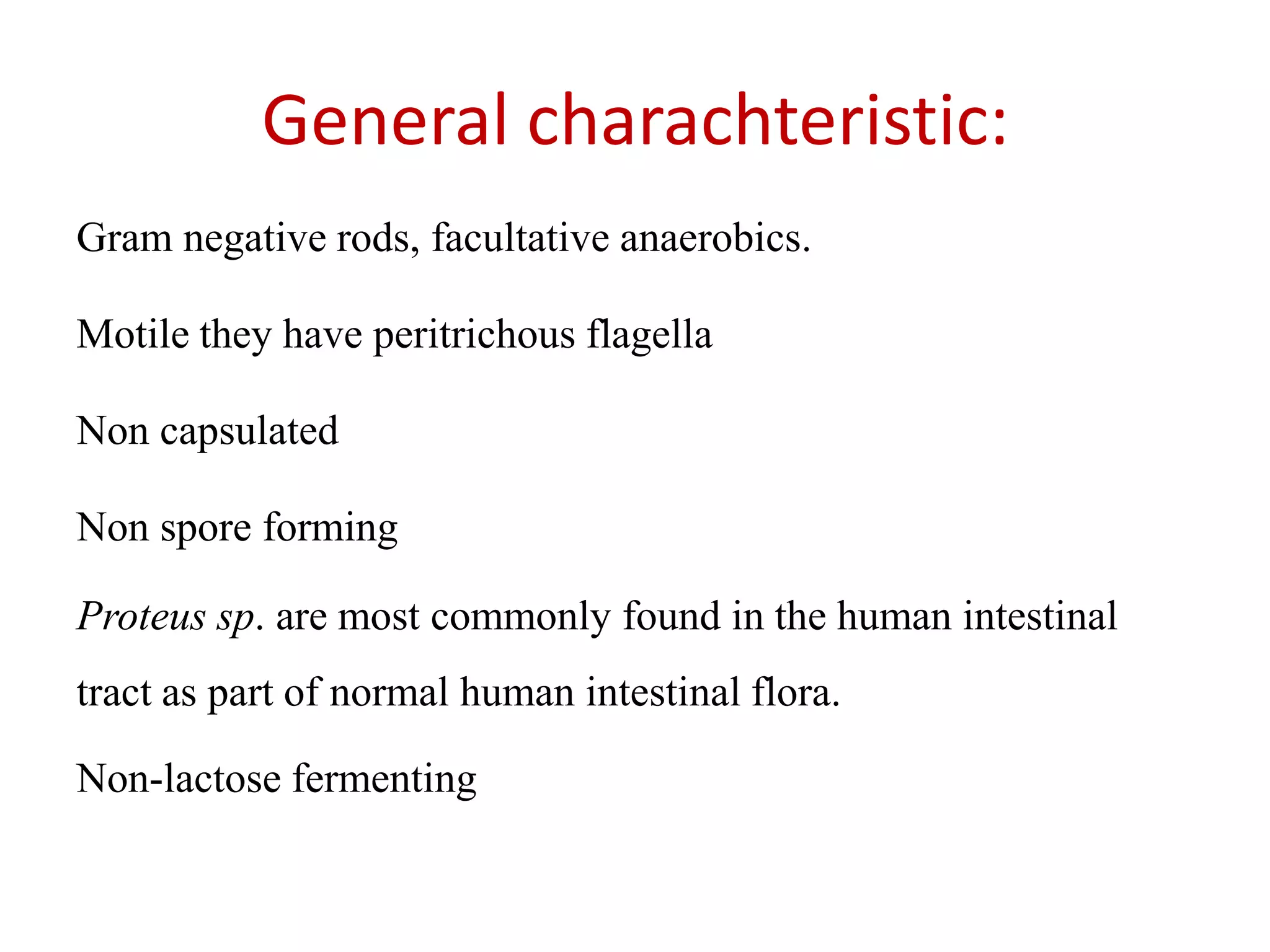 Proteus spp (2) | PPTX