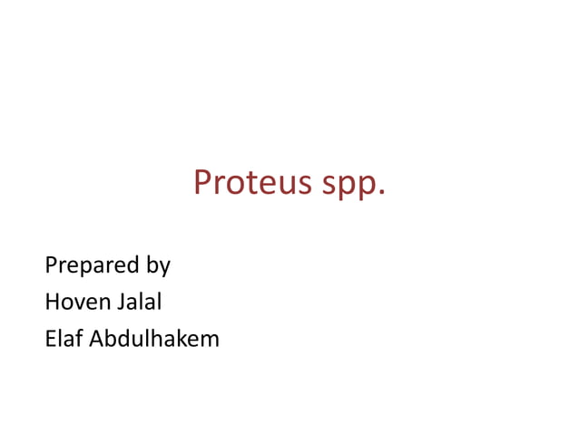 Proteus spp (2) | PPTX | Chemistry | Science