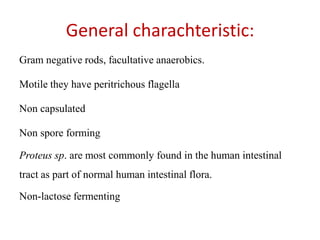 Proteus spp (2) | PPTX