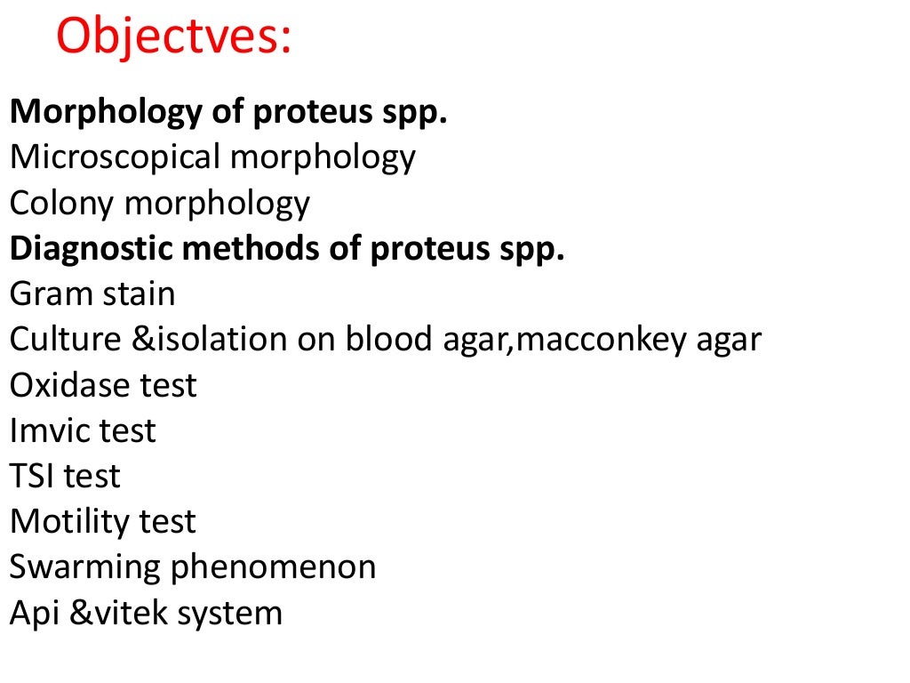 Proteus Spp Lecture