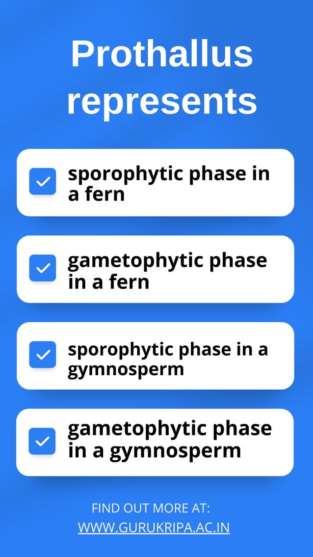 Prothallus represents.pdf Gurukripa Academy | PDF | Biological Sciences ...