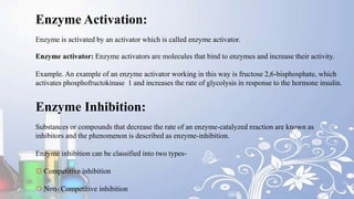 A Presentation on Enzymes & Co-Enzymes | PPTX | Chemistry | Science
