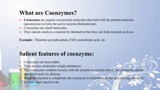 A Presentation on Enzymes & Co-Enzymes | PPTX | Chemistry | Science