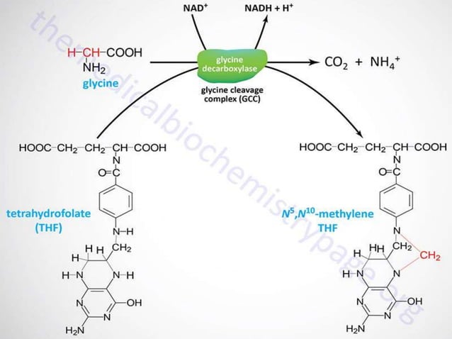 Pppppppppppppppppppppppppppppppppppppppppp | PPT