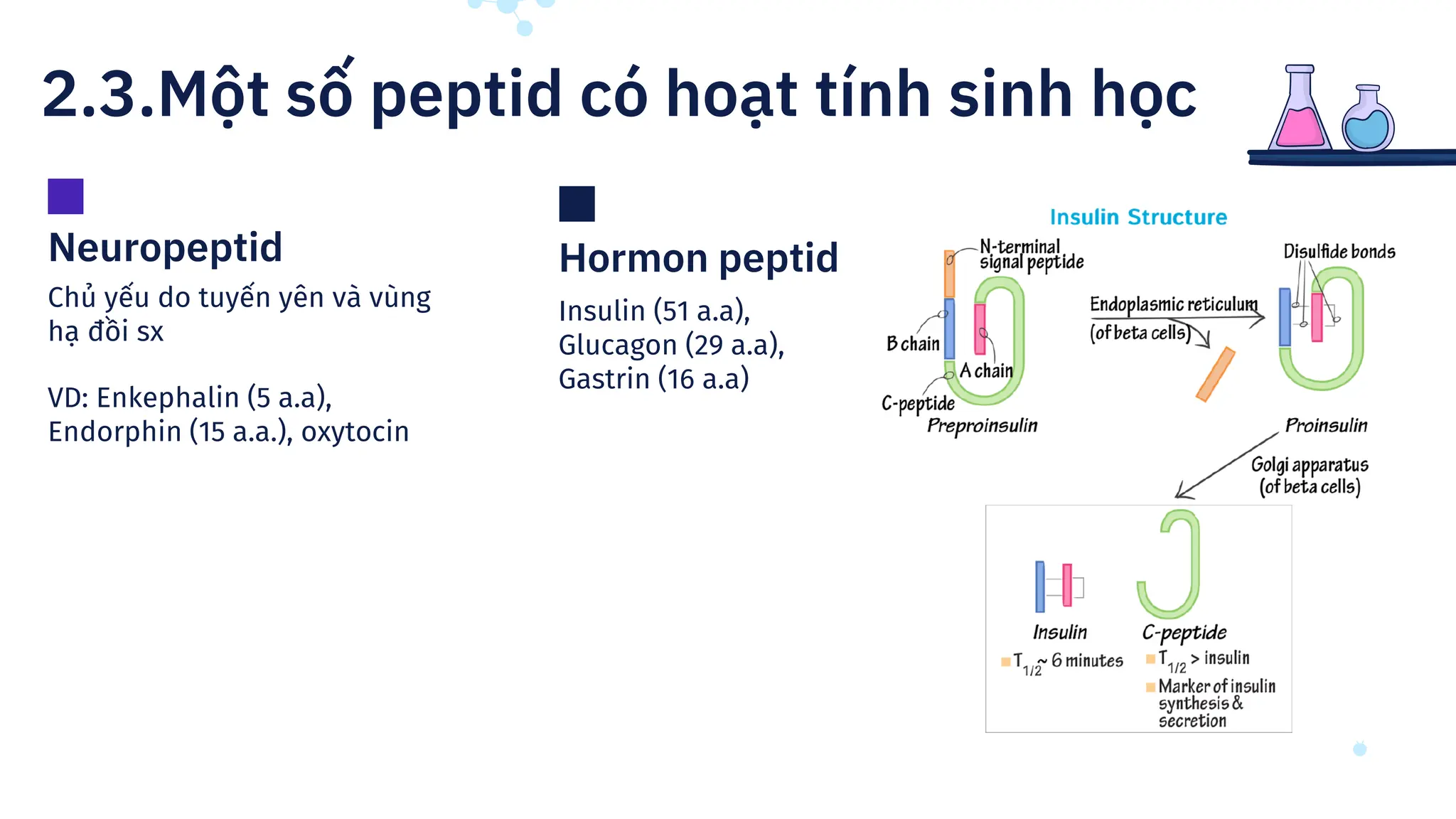 protid hóa học mmmmmmmmmmmmmmmmmmmmmmmmmmm | PPT
