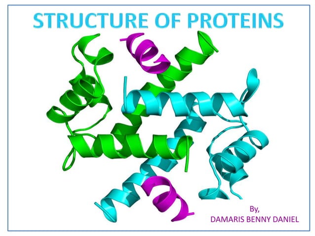 Protein structure: details | PPTX