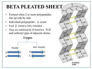 Protein structure: details | PPTX