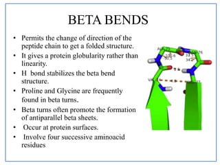 Protein structure: details | PPTX
