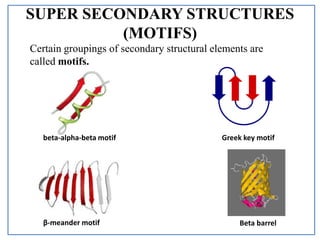 Protein structure: details | PPTX