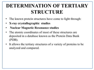 Protein structure: details | PPTX
