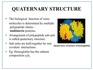 Protein structure: details | PPTX