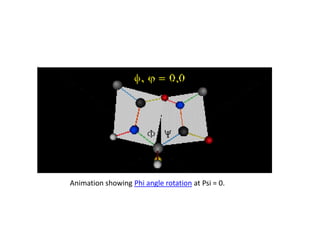 Protein structure: details | PPTX