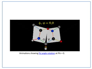 Protein structure: details | PPTX