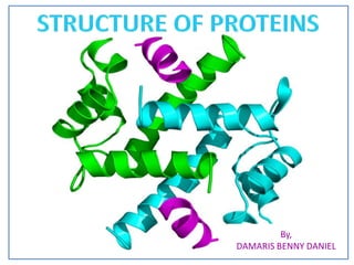 Protein Structure Animation