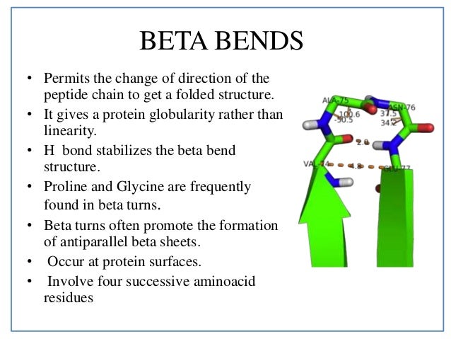 Protein structure: details