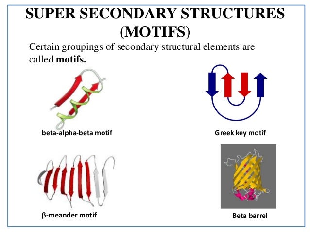 Protein structure: details