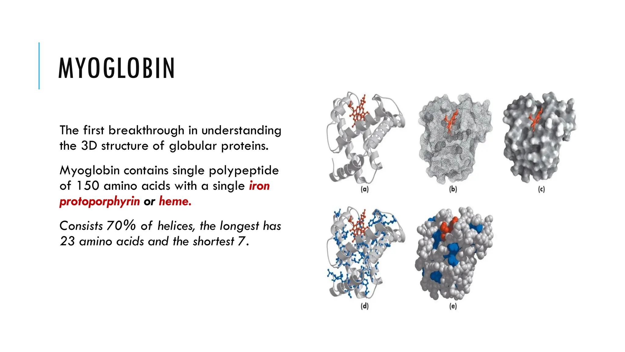 Introduction to Proteins and Amino acids | PPTX