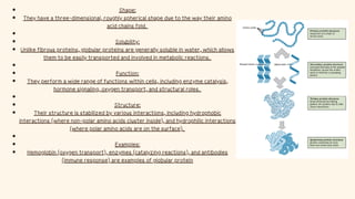 protien and its classification slides of biochemistry | PDF