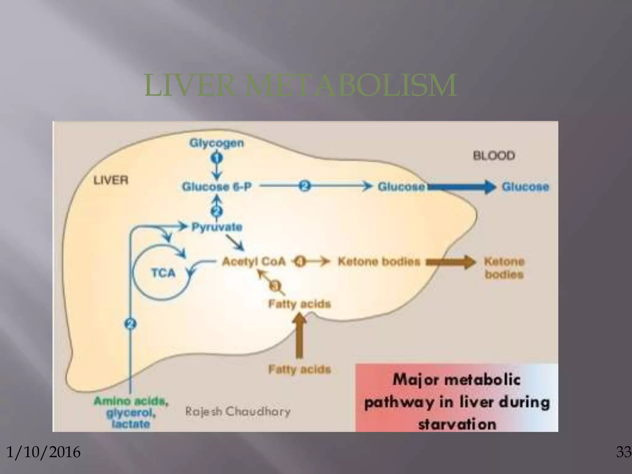 Protien calorie malnutrition & starvation | PPTX