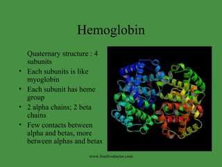 Protien Metabolism | PPT