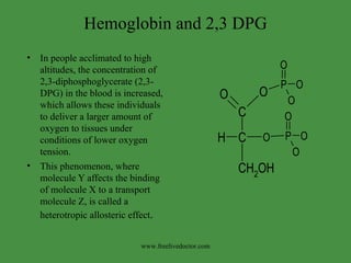 Protien Metabolism | PPT