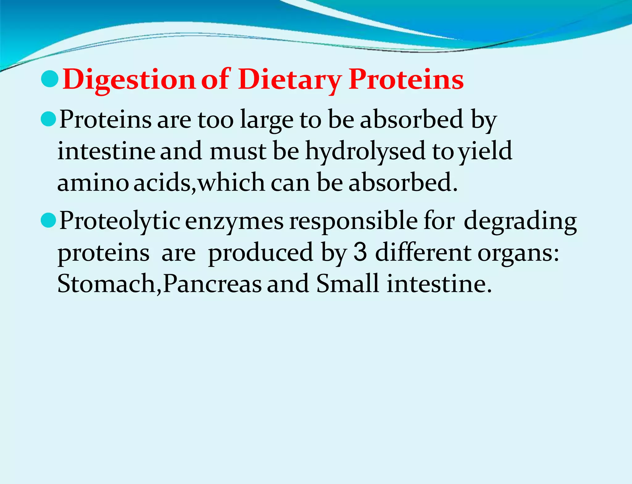 protien metabolism.pptx