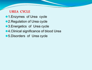 protien metabolism.pptx
