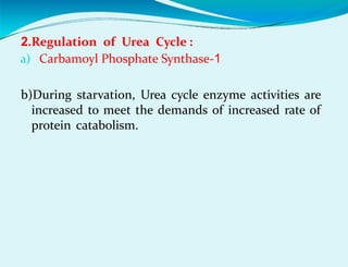 protien metabolism.pptx