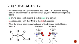 Proteins biochemistry | PPTX