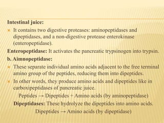 chemistry and classification of amino acids\protiens | PPTX