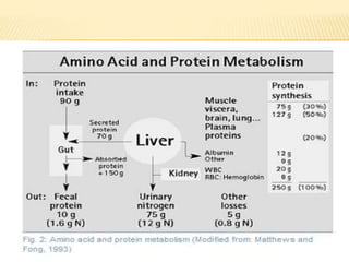 chemistry and classification of amino acids\protiens | PPTX
