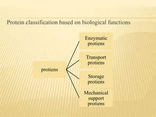 chemistry and classification of amino acids\protiens | PPTX