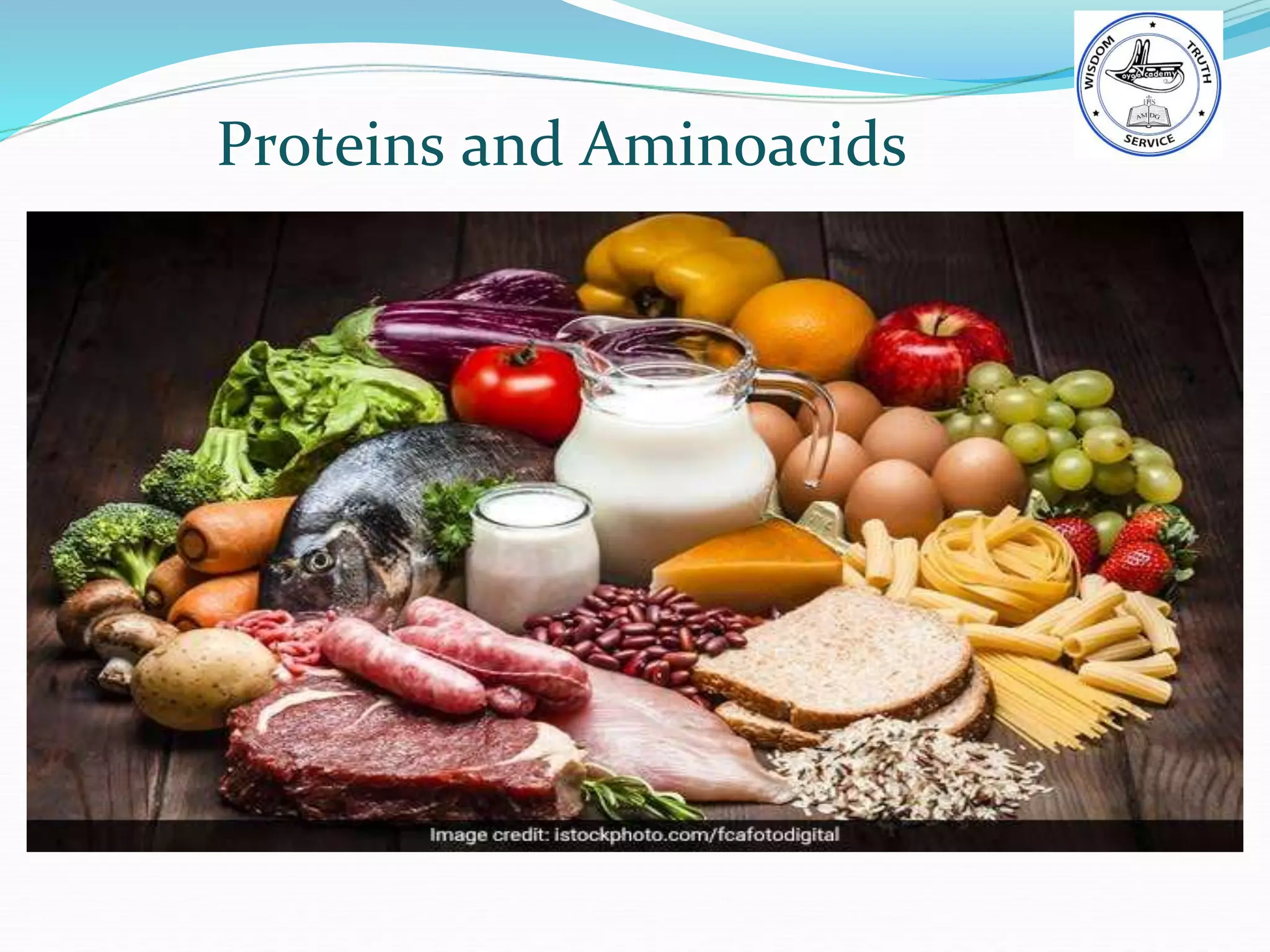 Protiens and amino acids | PPTX