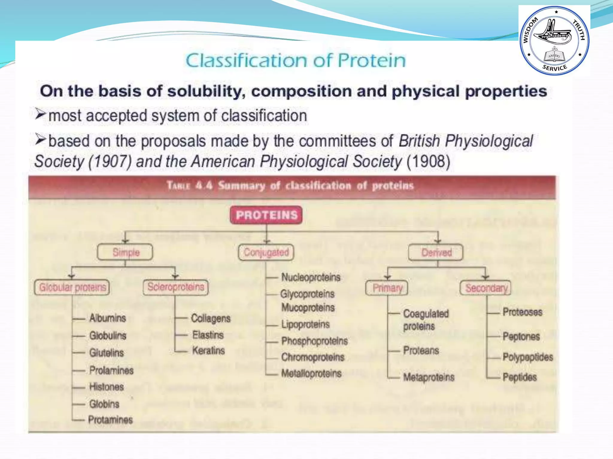 Protiens and amino acids | PPTX