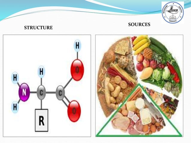 Protiens and amino acids | PPT