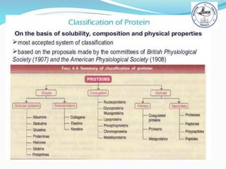 Protiens and amino acids | PPT