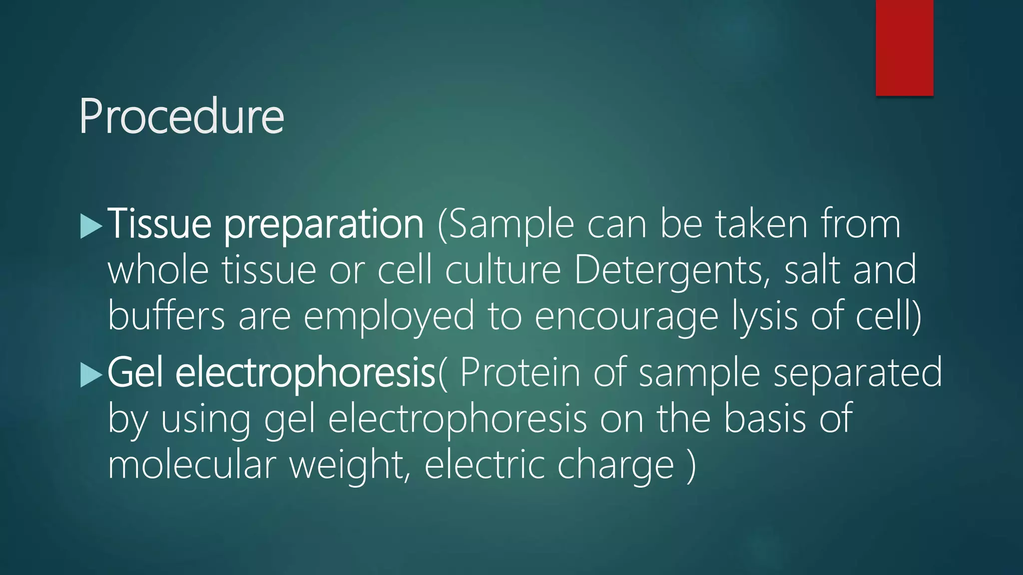 METHODS TO DETERMINE PROTEIN STRUCTURE | PPTX